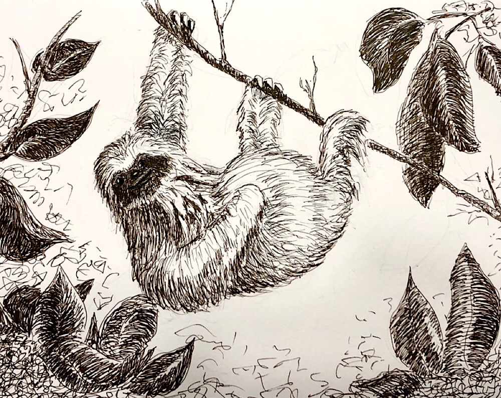 An Inktober inspired “Slowvember” piece | SVSLearn Forums