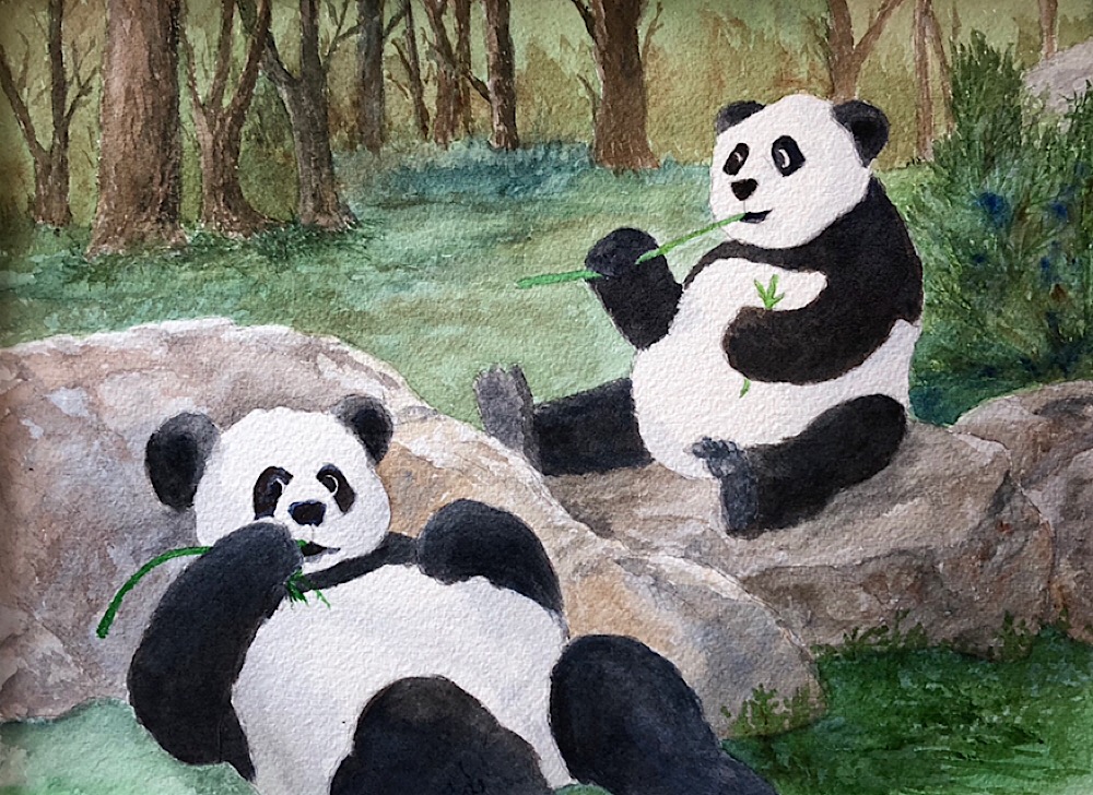 Panda WIP Slowvember | SVSLearn Forums