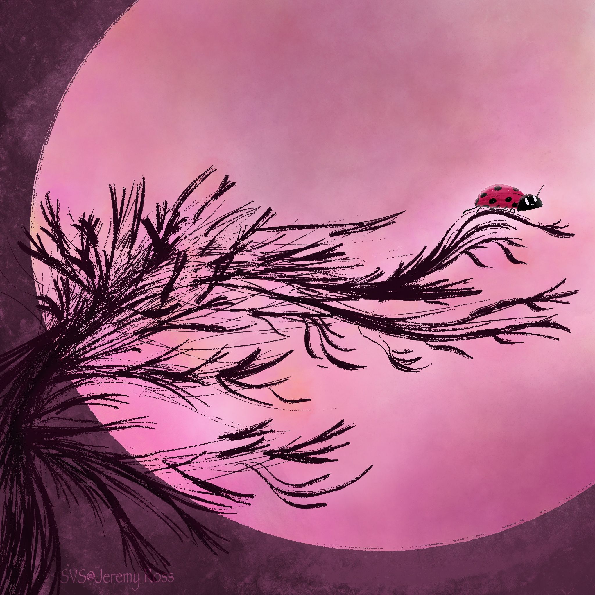 February Prompt "Nightfall" Please Vote | SVSLearn Forums