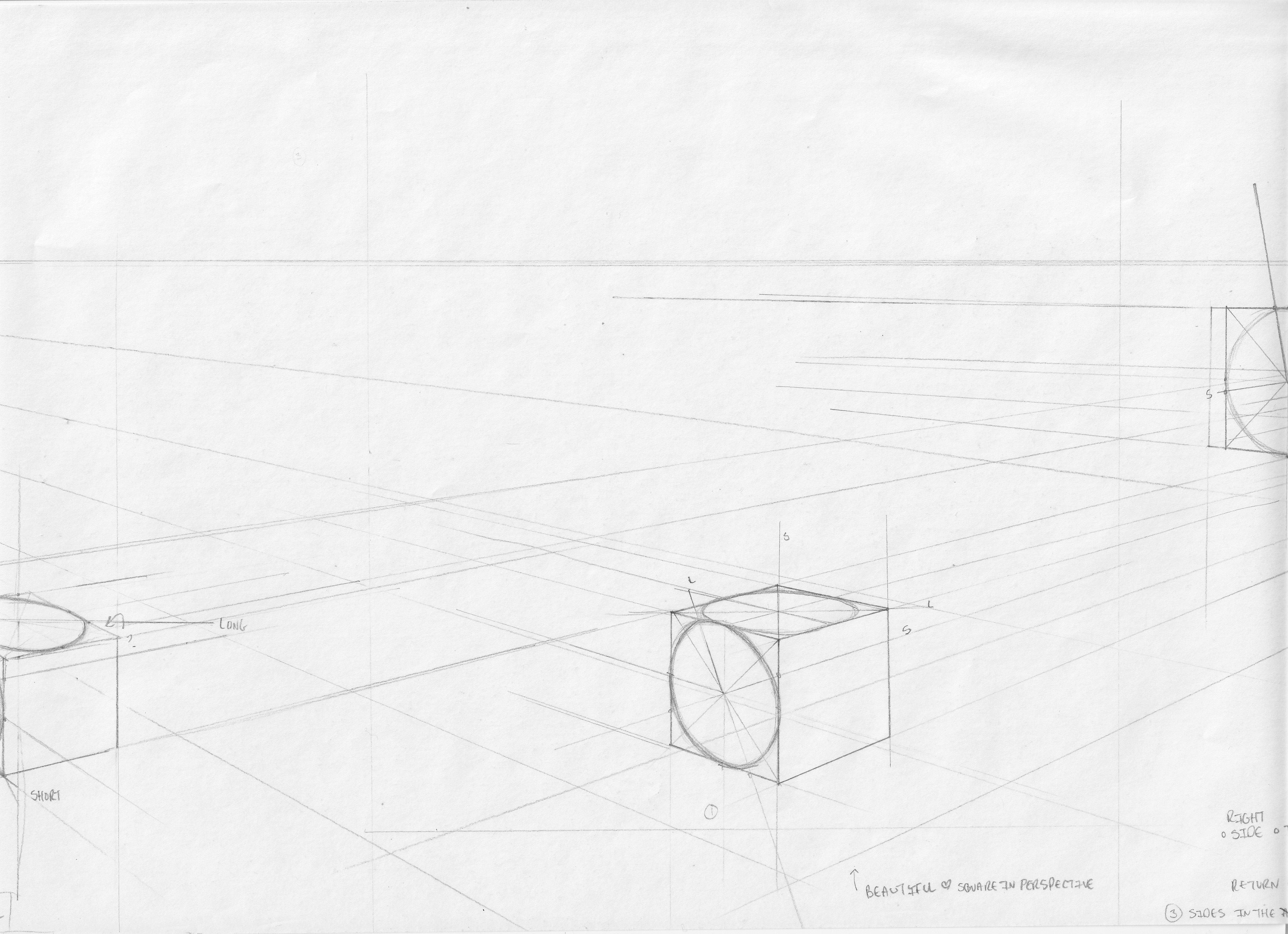 Basic Perspective #5 and eventually Final just not today. | SVSLearn Forums